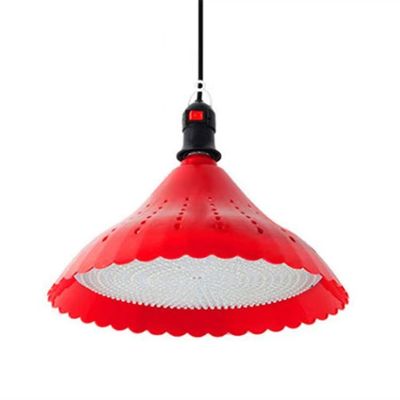 LED Pendant lights Manufacturer
